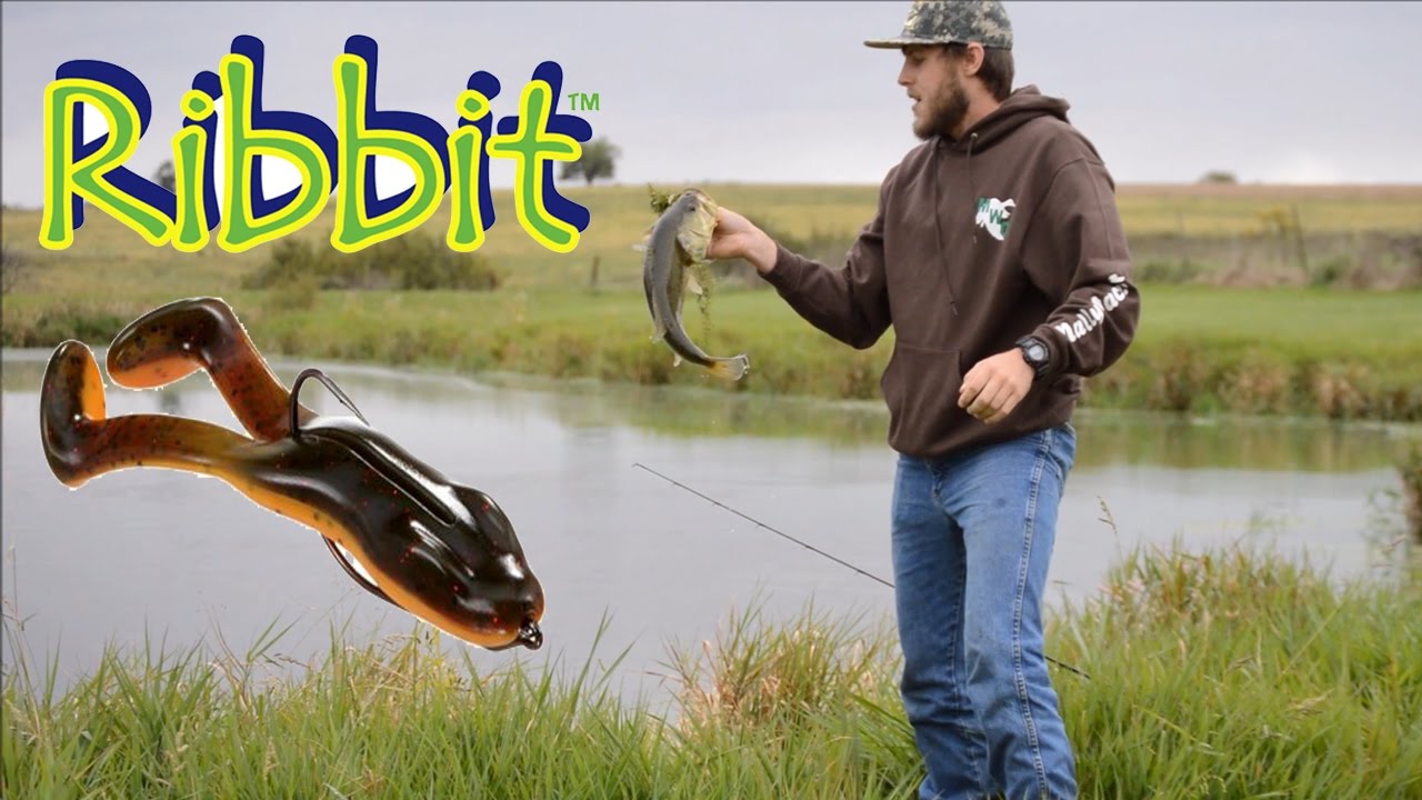 Ribbit Frog Farm Pond Action! - YouTube