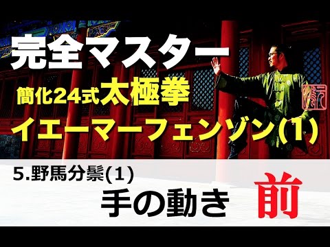 完全マスター簡化24式太極拳5.イエマーフェンゾン：野馬分鬃⑴手の動き＜前面＞中村元鴻