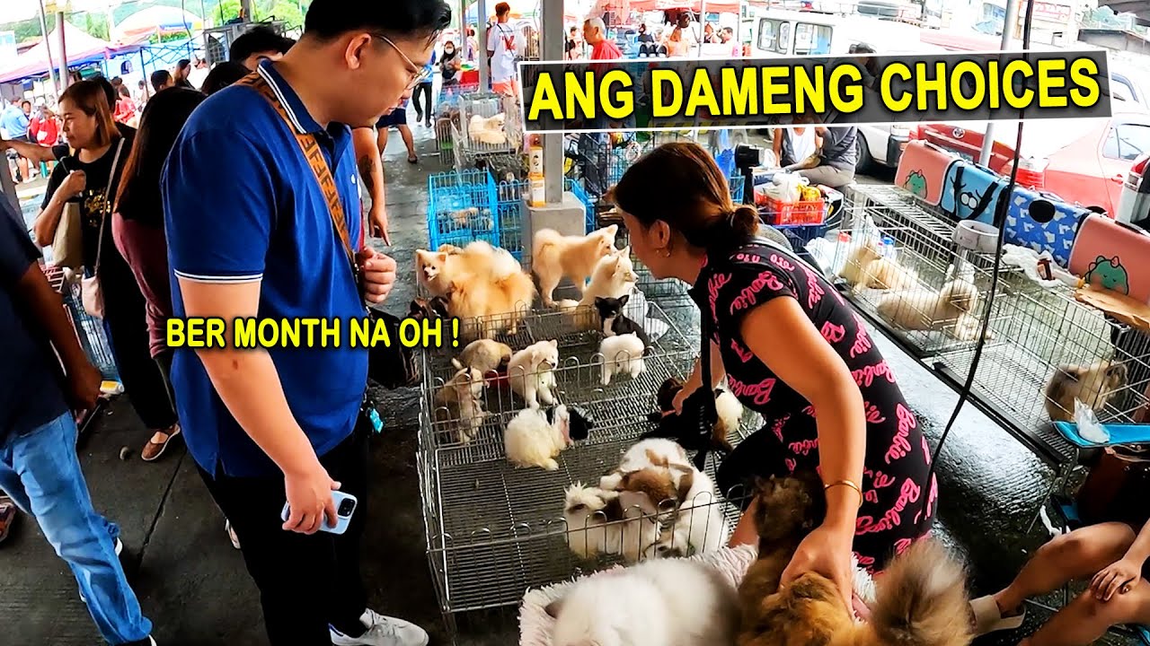 DALAWANG SELLERS PALANG NAKAKAHILO NA SA DAME NG MGA DALA NILANG ASO ...