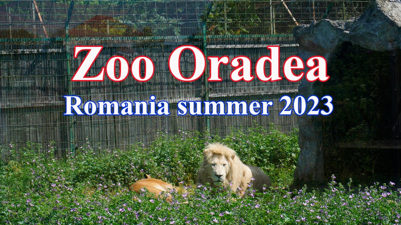 Gradina Zoologica Oradea vara - YouTube