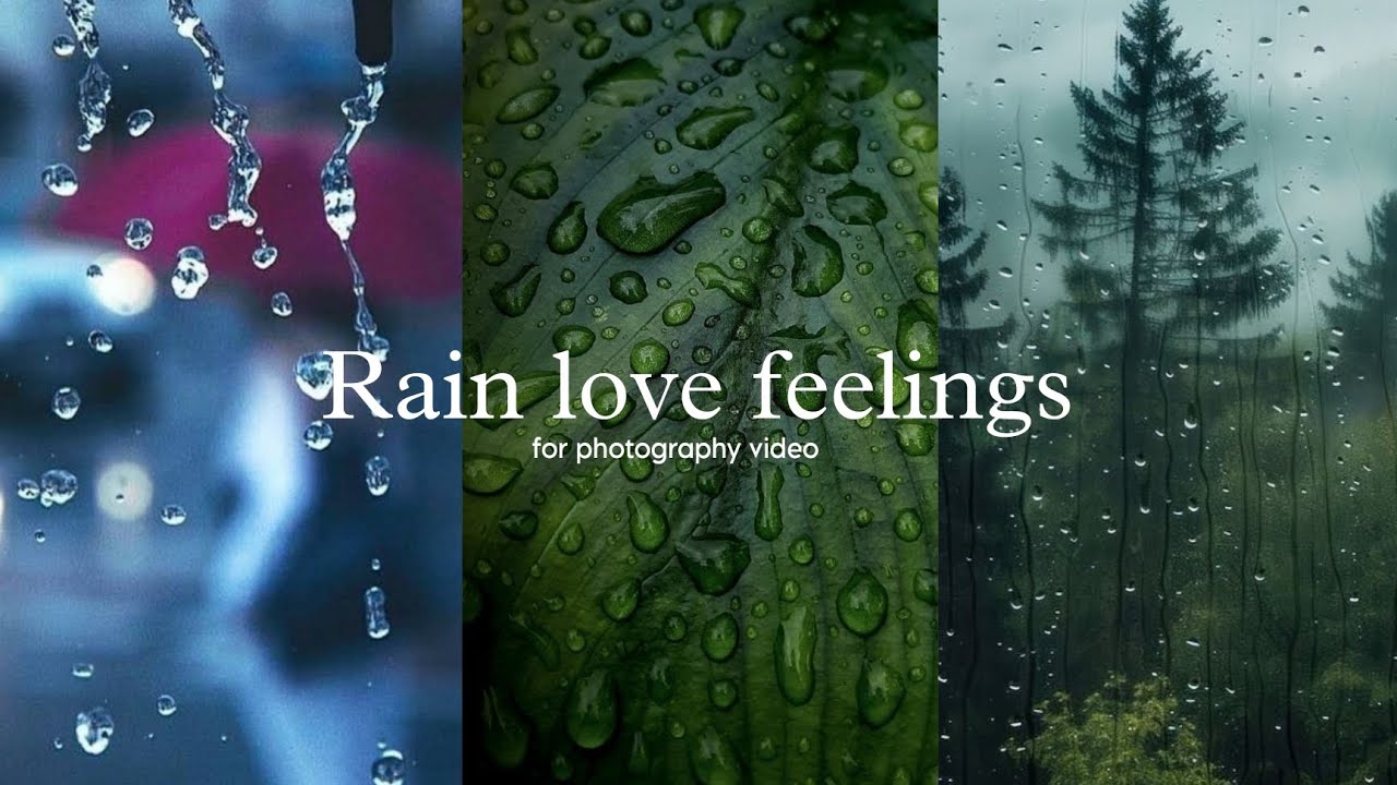 Rain is grace; rain is the sky descending to the earth; without rain ...