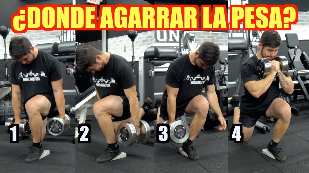 DONDE AGARRO LAS PESAS EN LA SENTADILLA BULGARA? [CUAL ES LA MEJOR ...