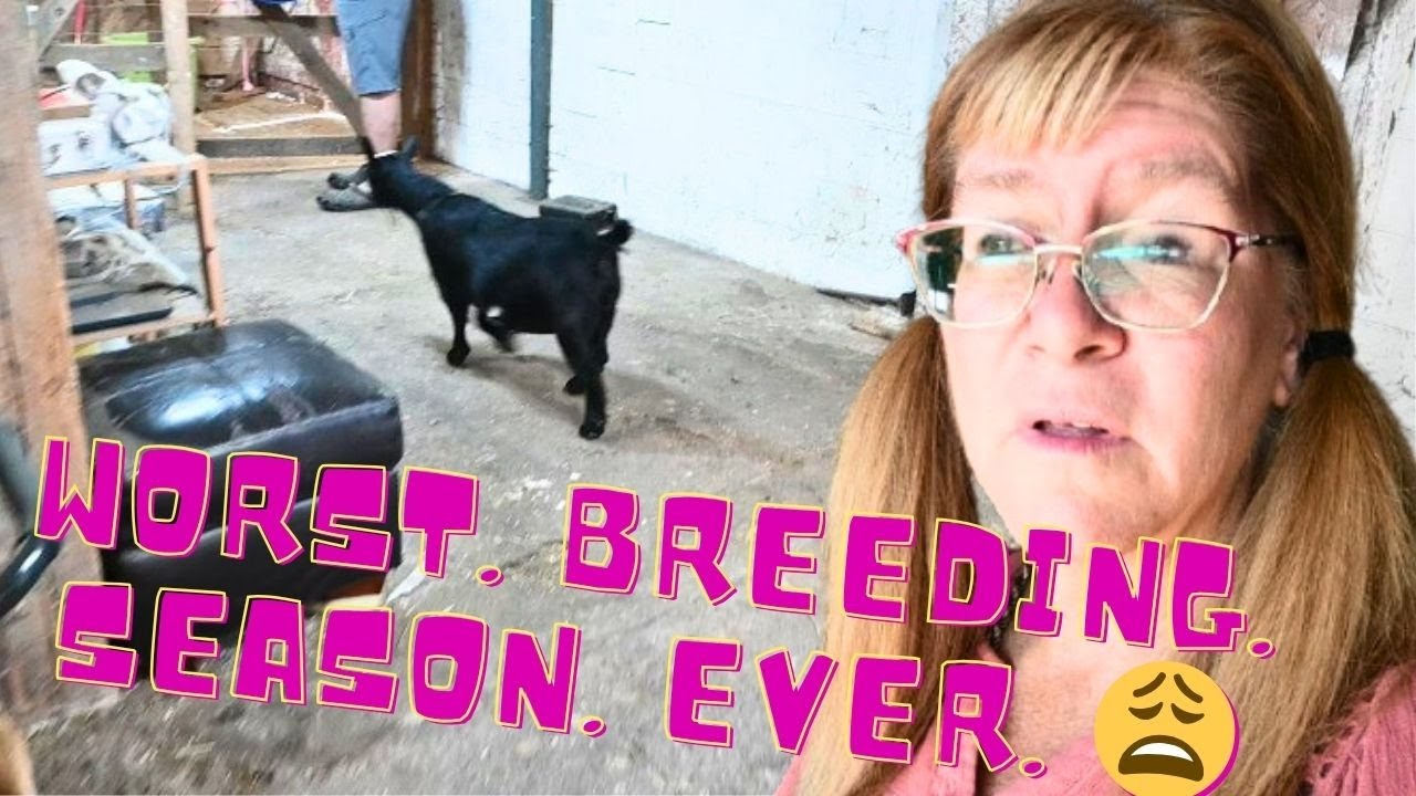 This HAS BEEN The WORST Breeding SEASON EVER And THIS Is WHY! - YouTube