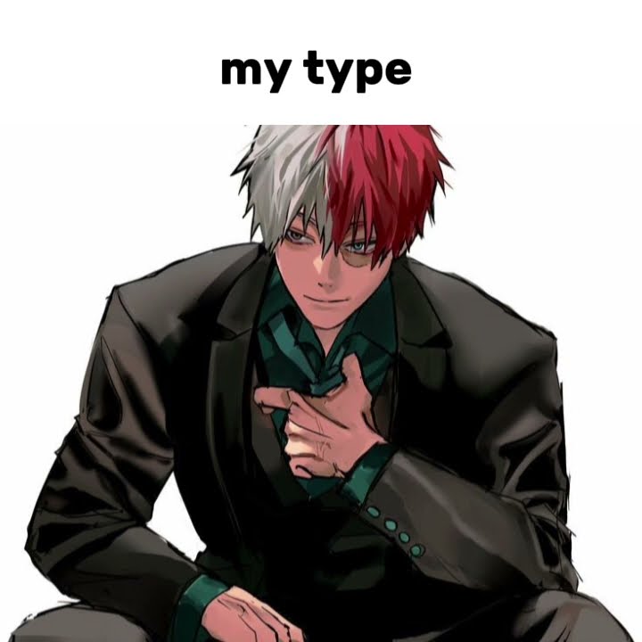 MY TYPE 🤍 ️ #bokunoheroacademia#bokunohero#shototodoroki#todorokishouto ...