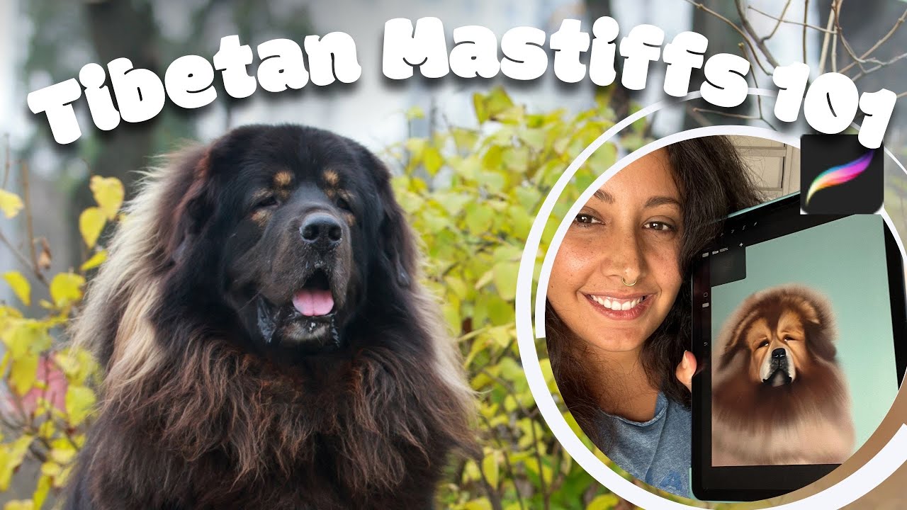 Tibetan Mastiff: Unveiling its Rich History on iPad!|Exploring the ...