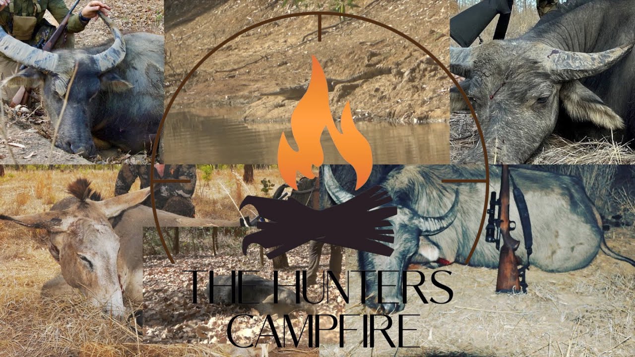 All action Northern Territory rifle Hunting - YouTube