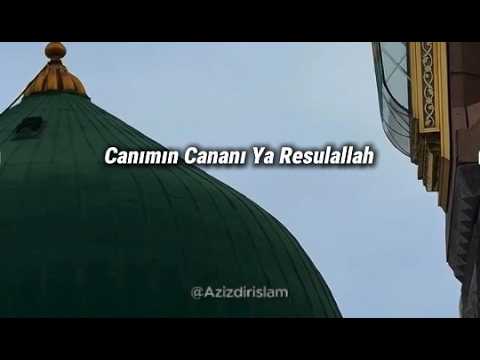 Canımın Cananı Ya Resulallah | ilahi