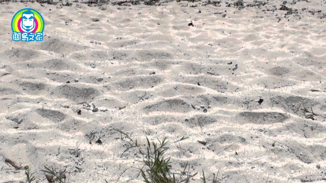 關島北部-星沙俱樂部 Guam Star Sand Jungle Tour 美麗沙灘篇 - 關島之家 - YouTube