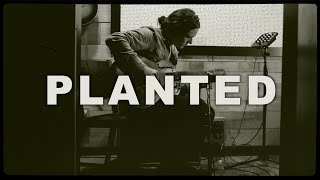 Tyler Bryant - "Planted"