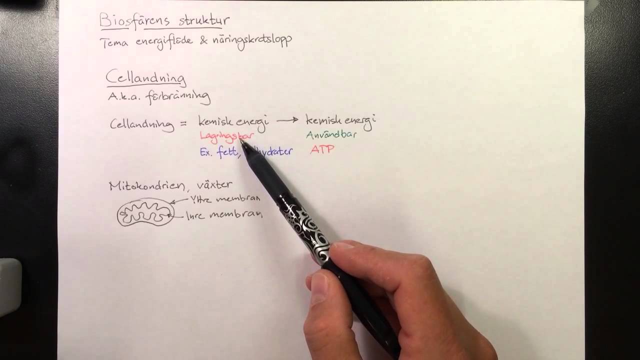 5. Biosfärens struktur, Cellandning - YouTube