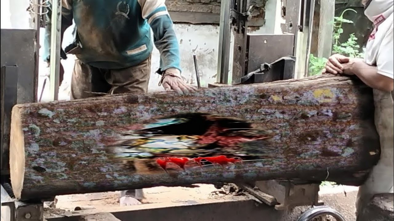 teak wood with very rare skin color, - YouTube