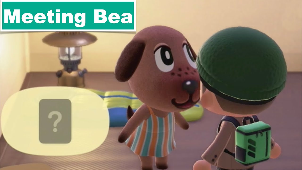 How I Met Bea - Animal Crossing New Horizons "Bingo" - YouTube
