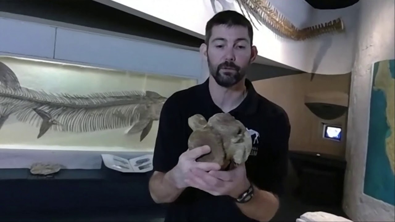 Learn about the Ancient Inland Sea - YouTube