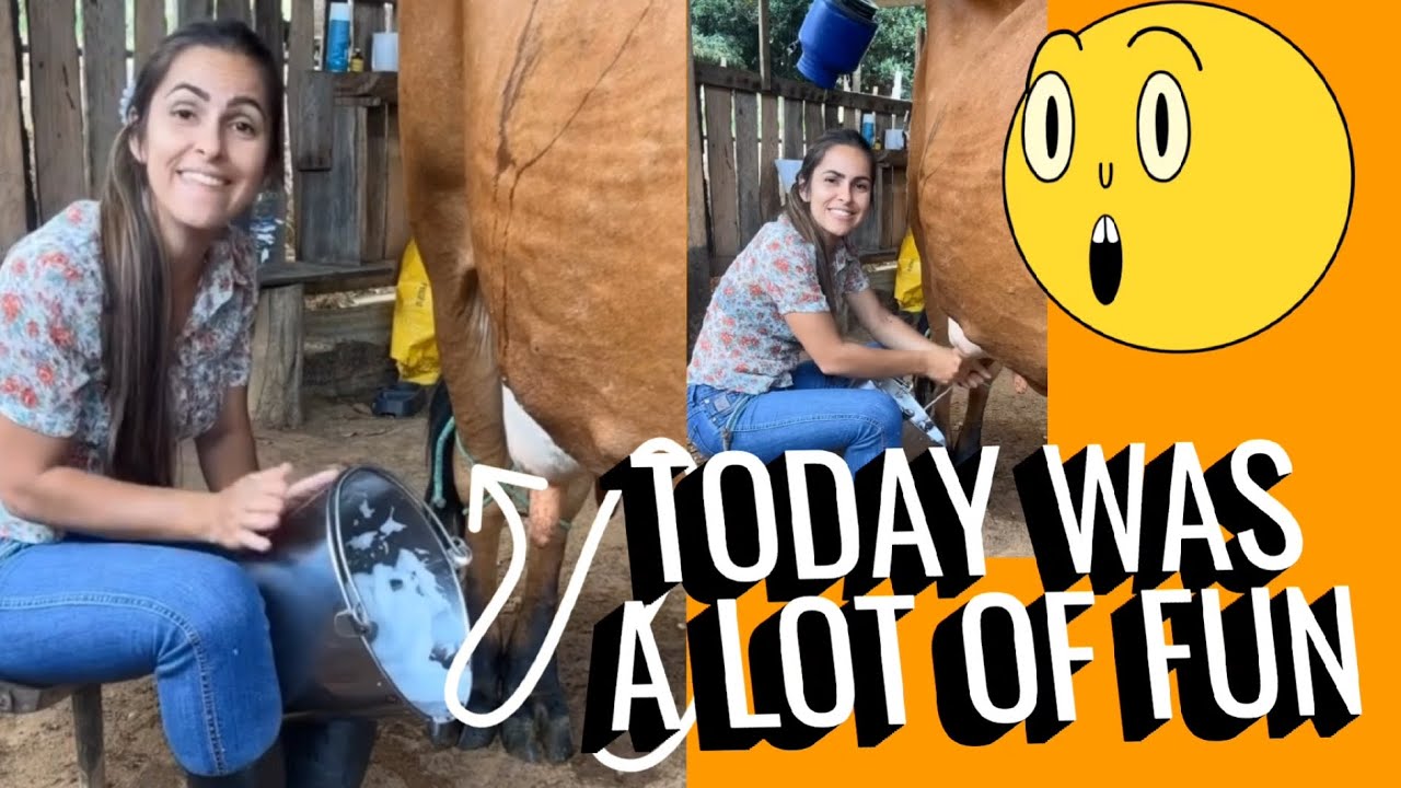 today was a lot of fun 😀 ️ The Happiest Farm - YouTube