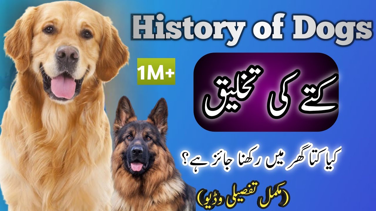 The Creation of a Dog in Islam| kutte ki takhleeq| The history of Dogs ...