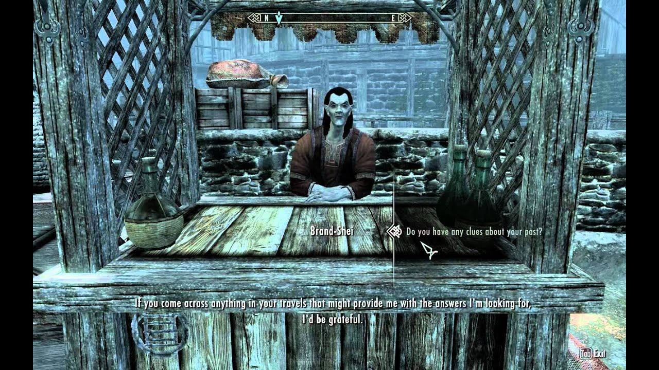 Locate a Clue About Brand Shei's Past - Riften Misc Quest - Elder ...
