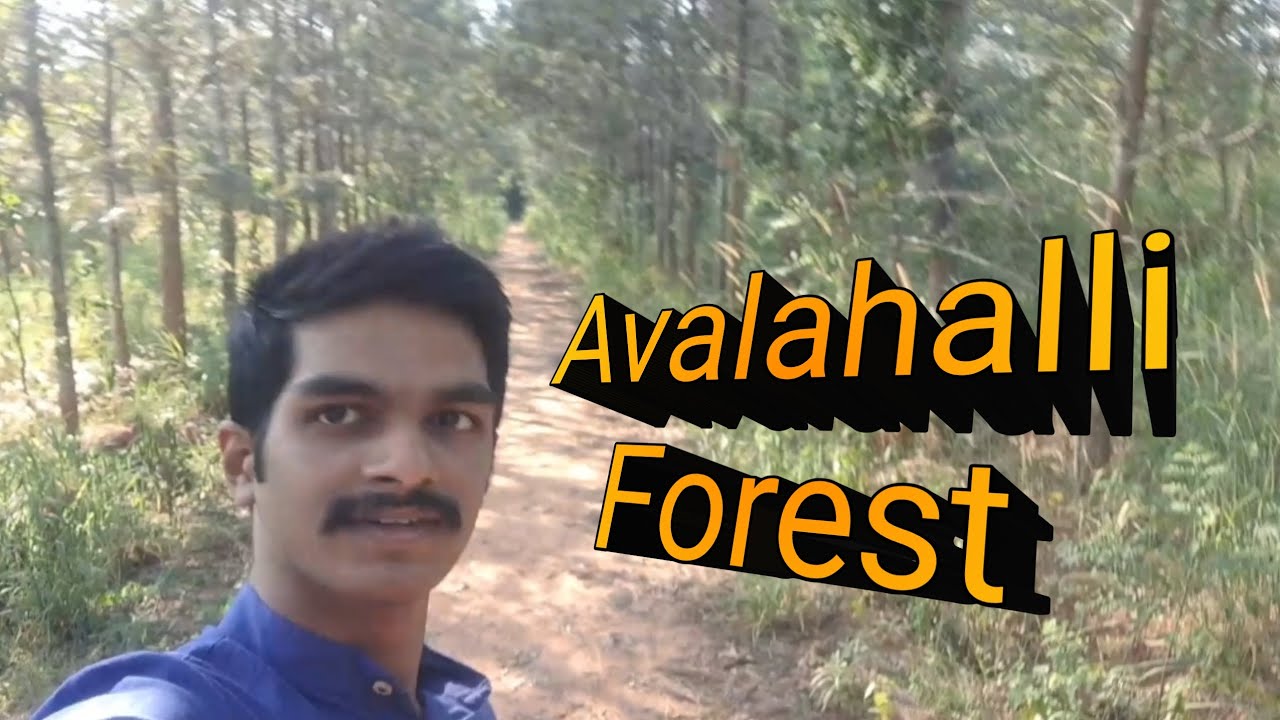 Avalahalli Forest Park | Small Travel video | Gosma Ostan - YouTube