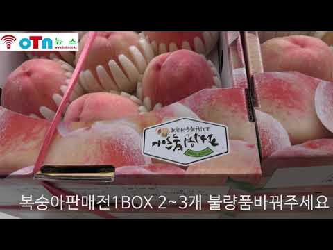 조치원 복숭아 판매전 3KG 1BOX 2~3개 불량품 있어요 바꿔 주세요, 복숭아 판매전. - YouTube