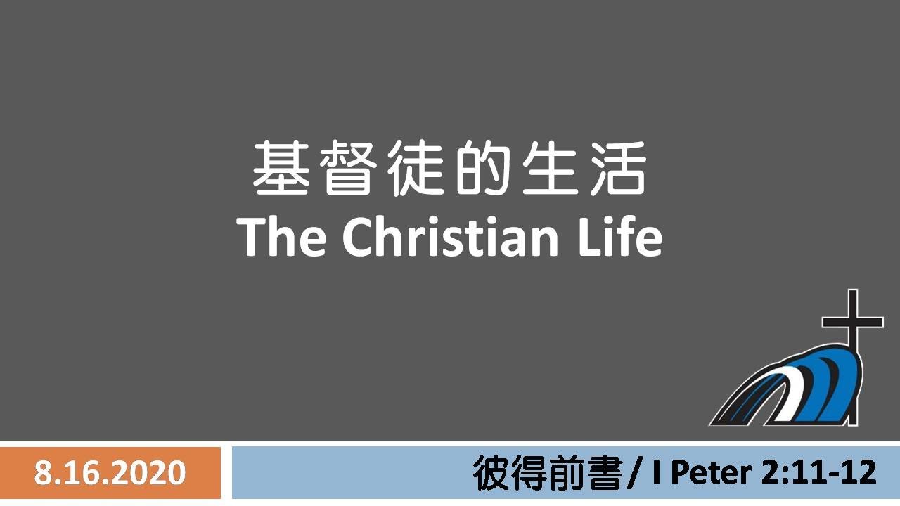 UECM Sunday Worship - August 16, 2020 - YouTube