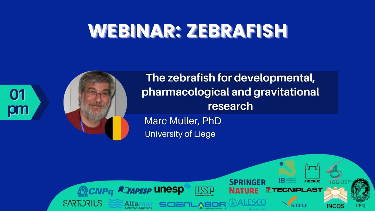 Webinar: Zebrafish as experimental model for research - YouTube