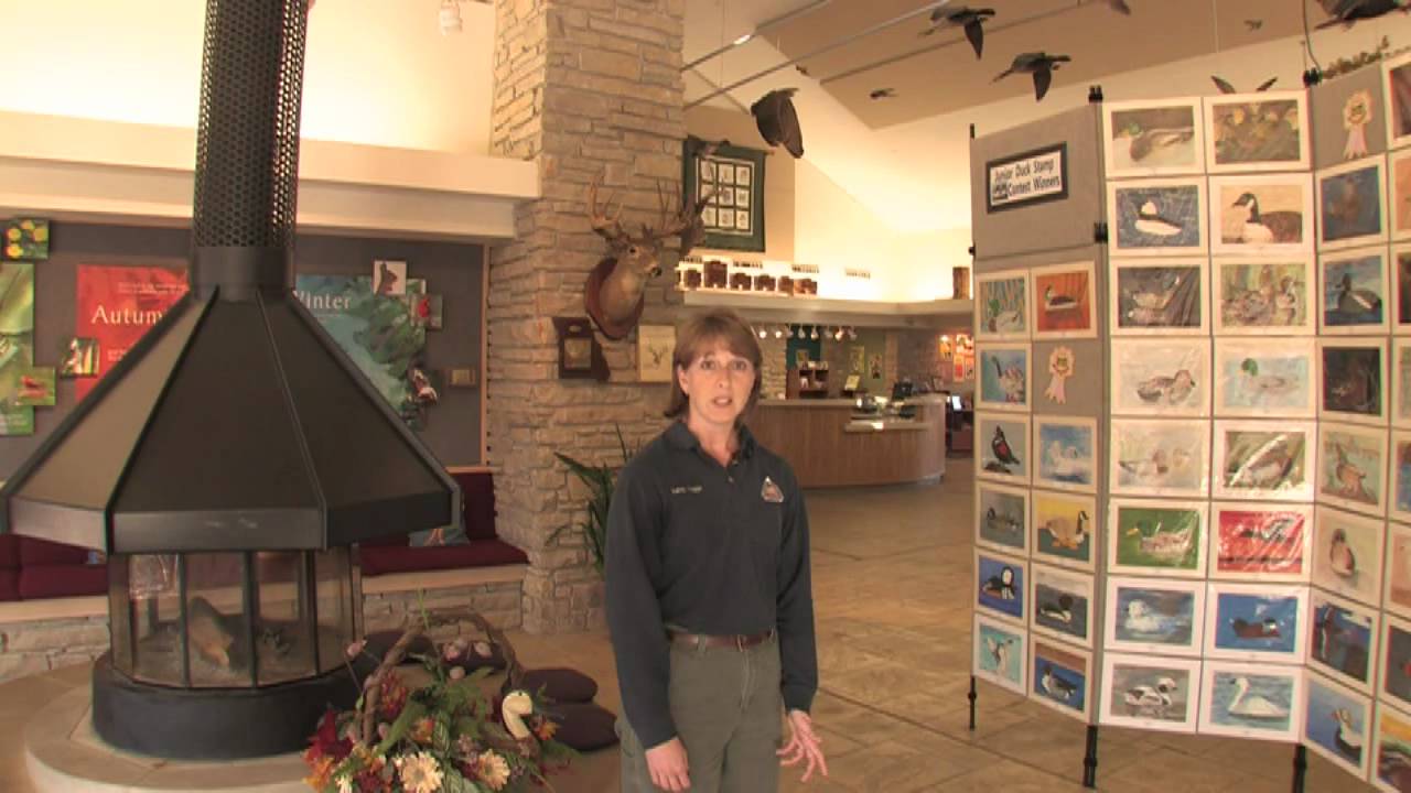 Are Dogs Allowed At Powder Valley