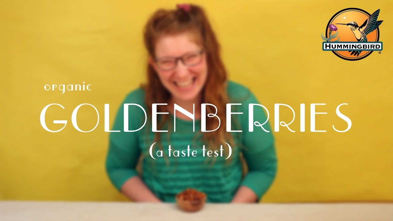 Goldenberry Taste Test - YouTube
