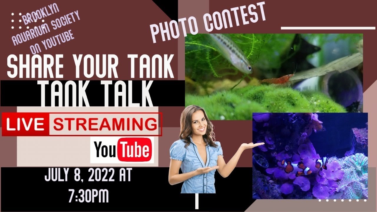 Live Tank Talk and Photo Contest - YouTube