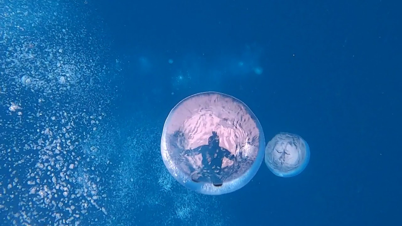 TRAPPED in a Bubble! - YouTube