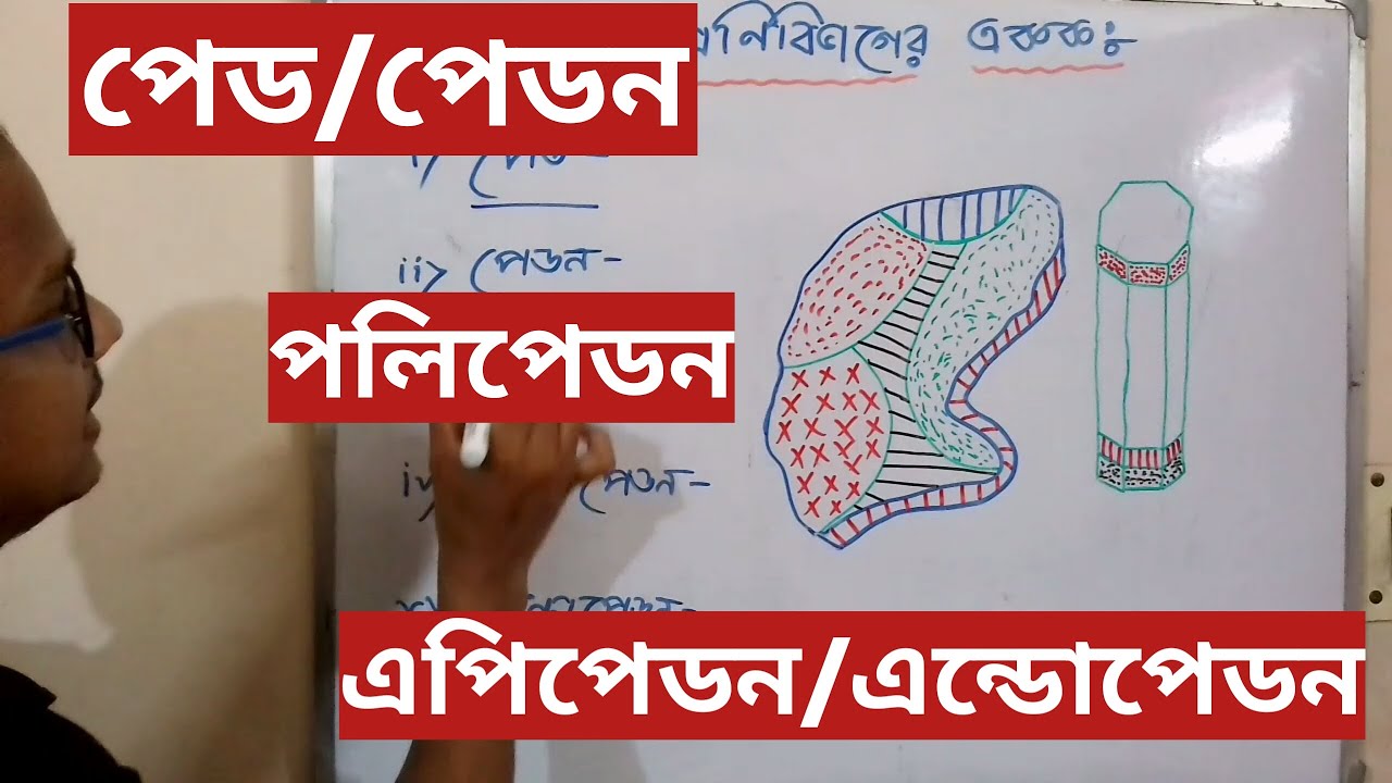Soil Geography/Uits Of Soil Classification/Ped-Pedon-Polipedon-Epipedon ...