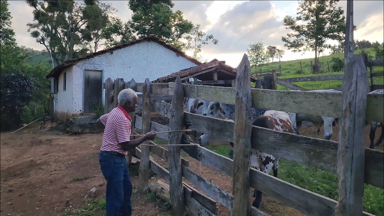 Lida No Sítio Do Zé Da iota - YouTube