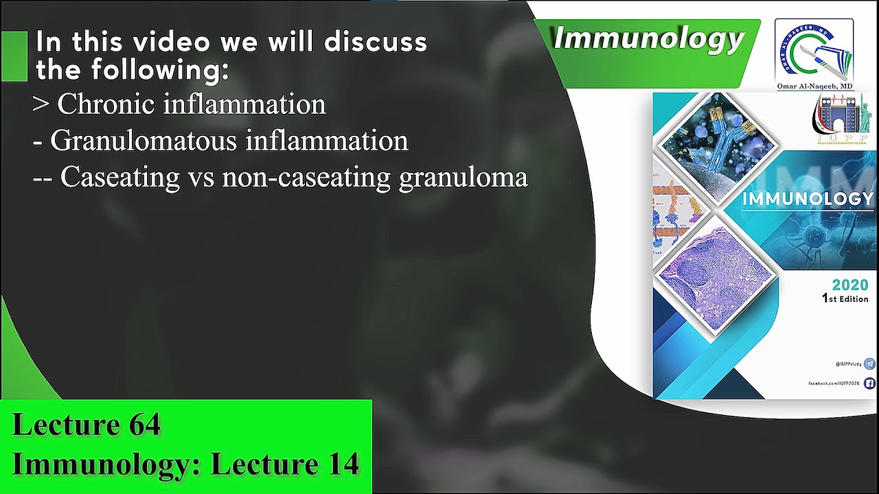 Chronic inflammation || Granulomatous inflammation || Caseating vs non ...
