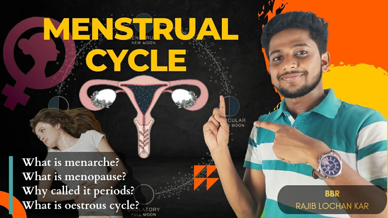 Menstrual cycle|| Menses||periods||Menarche||Menopause||oestrous cycle ...