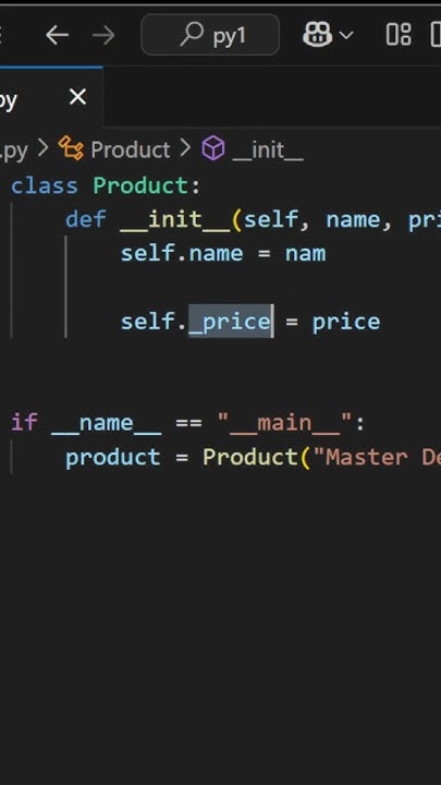 Python: Protected Access (attribute and function) - YouTube
