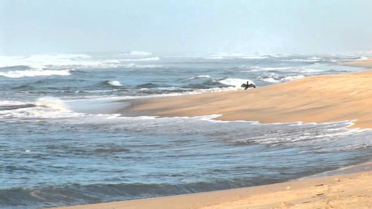 PROMOCIONAL DE COPALA GUERRERO - YouTube