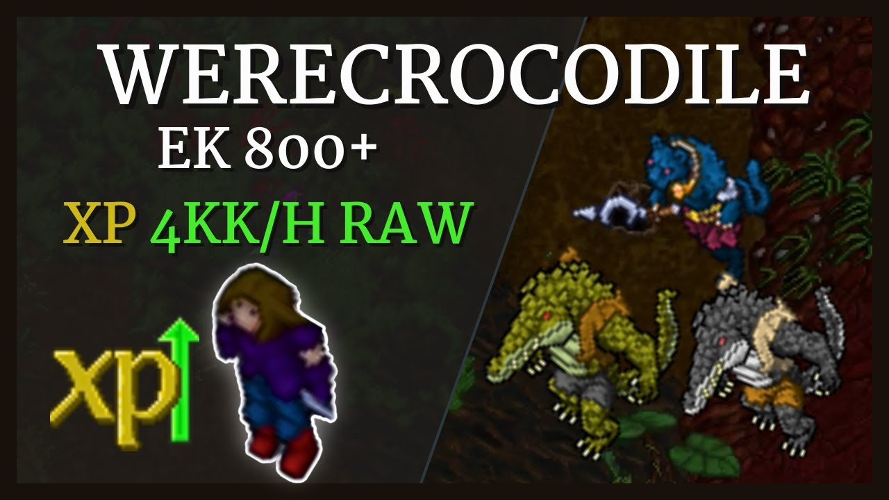 Tibia Hunt em Werecrocodile EK 800+ (No Charm's) - YouTube