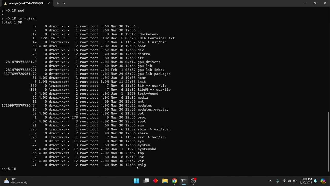 Proof-of-Concept For CVE-2024-1086 - YouTube