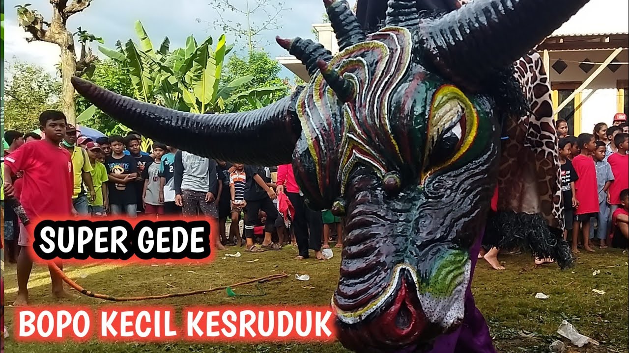 putra Mandala _ Bantengan gede / terbesar live sumberdadi - YouTube