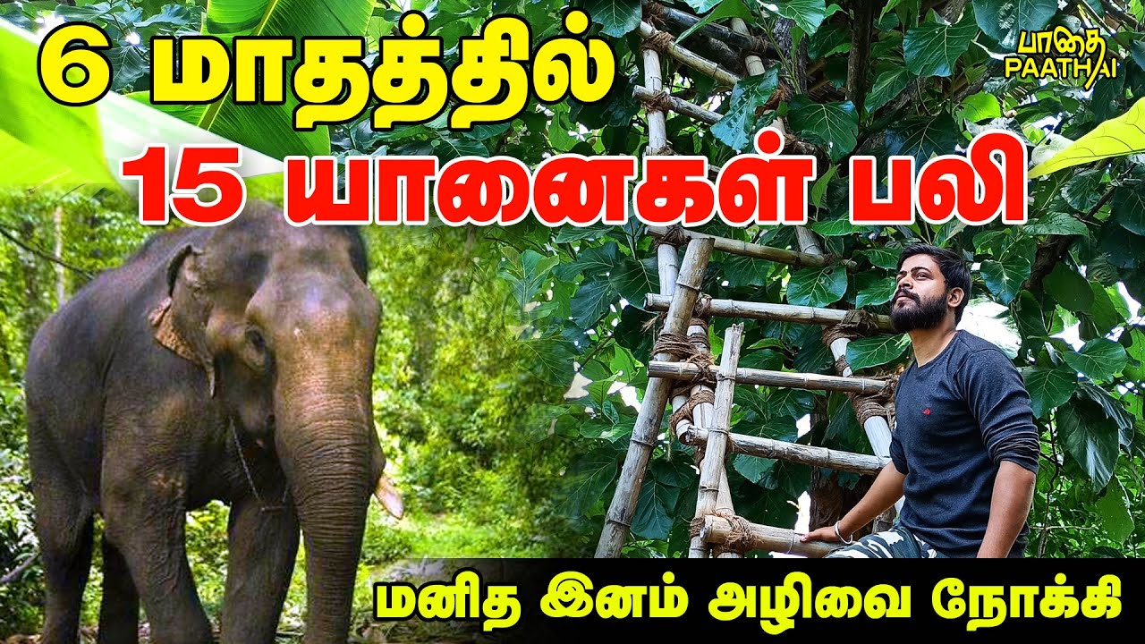 இந்த உலகம் அனைத்து உயிர்களுக்குமானது / அழிவை நோக்கி போகிறதா மனித இனம் ...