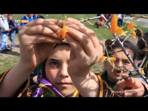 Çiğdem Aşı Geleneği Nedir? - Ankara - Kuşaktan Kuşağa - TRT Avaz
