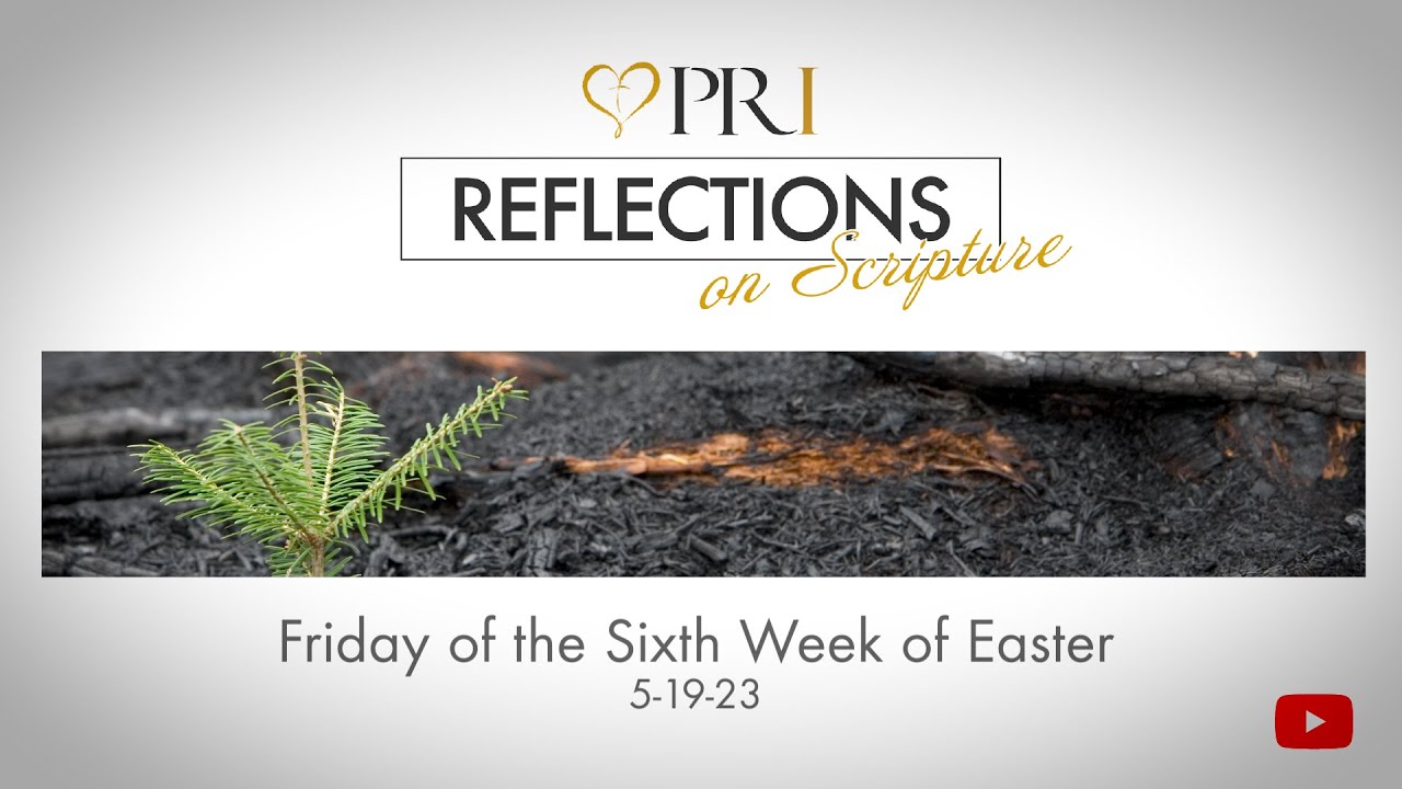 Reflections on Scripture | Friday of the Sixth Week of Easter - YouTube