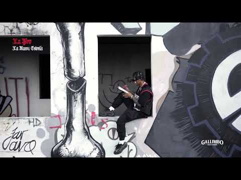 La Pro  - Kingzy (Visualizer) (La Nueva Estrella EP)