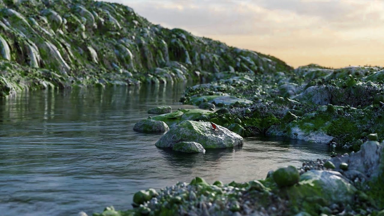 RIVER BEND | a BEAUTIFUL 3d render | Blender animation - YouTube