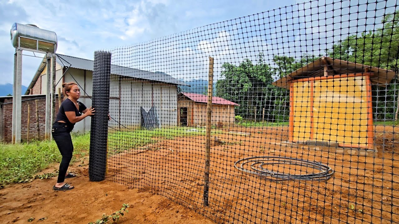 Building a Fence for My Chickens | Creating a Safe Space and Future ...