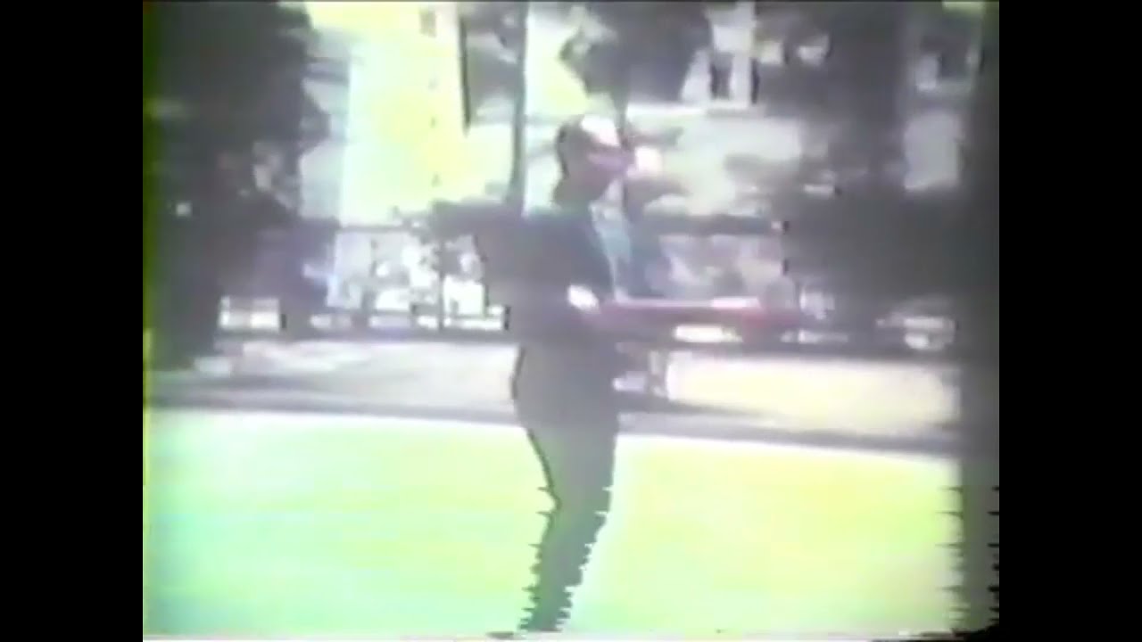 Master Lin Chun-fu performing Monkey Staff - YouTube