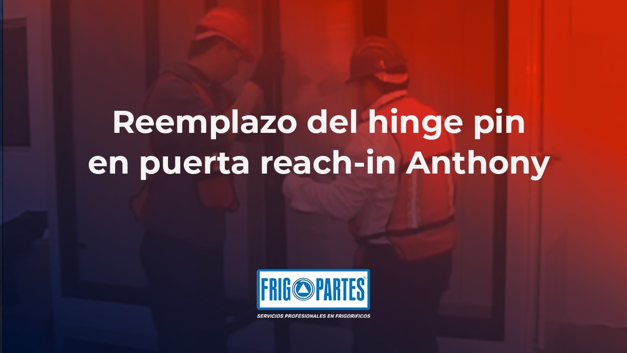 Entrenamiento: Reemplazo del hinge pin en puerta reach-in Anthony - YouTube