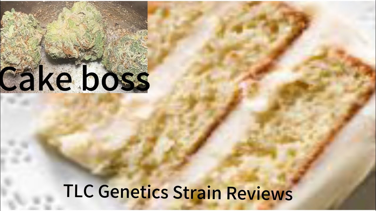 The TLC Genetic Show : Cake Boss (Strain Review) - YouTube