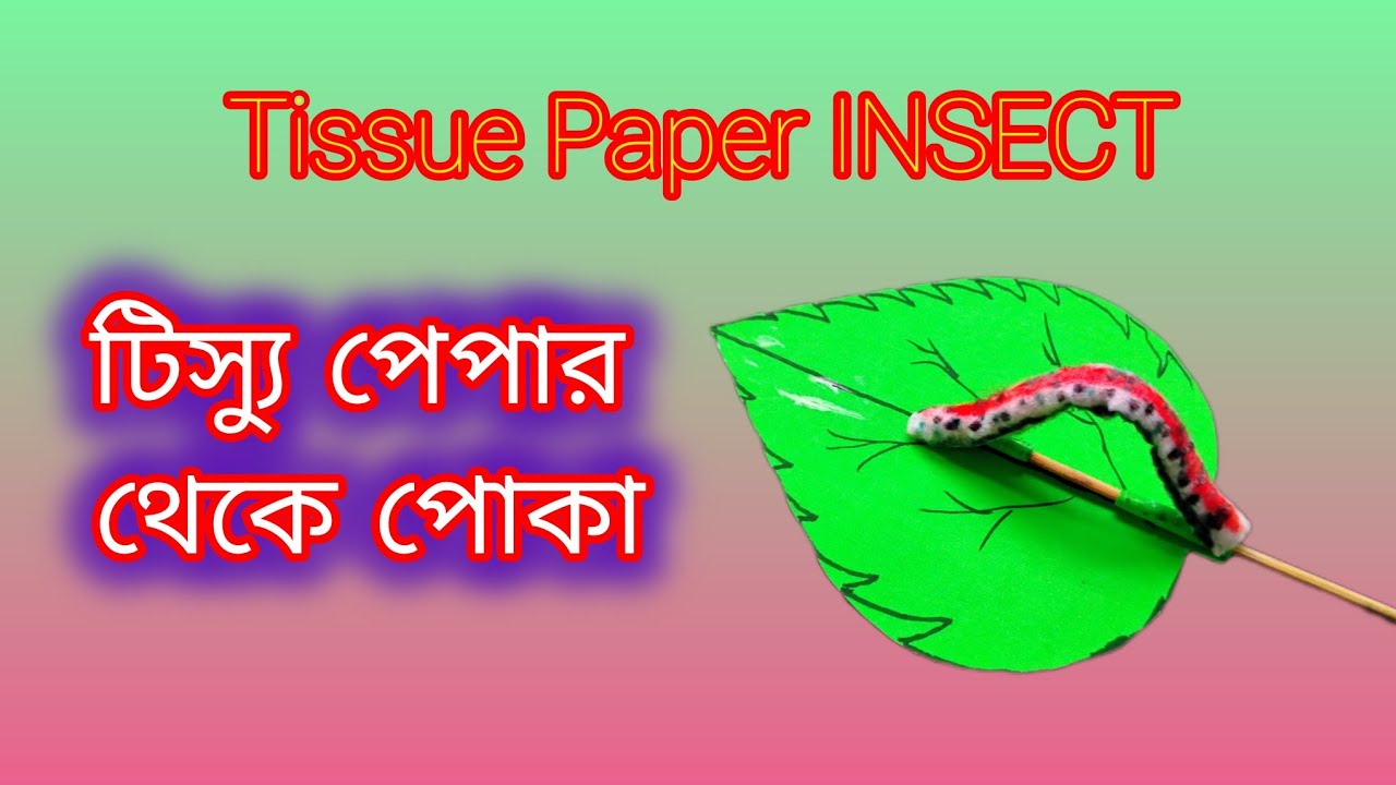 How to make an insect out of tissue paper/CREATE Your Own CUTE Tissue ...
