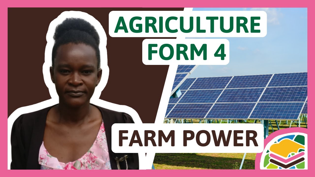 Farm Power | F4 Agriculture (Lesson 1/3) - YouTube