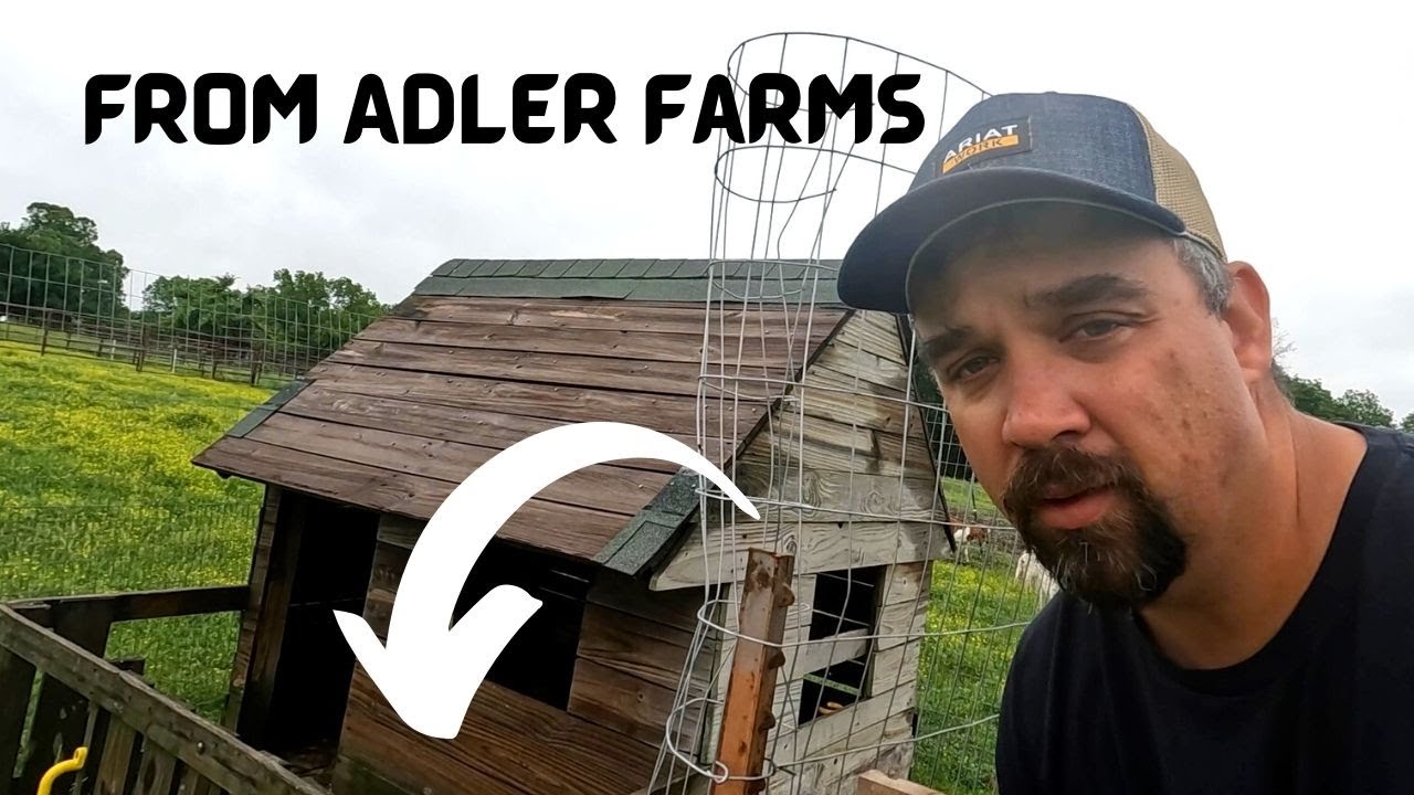 Gate idea from Adler Farms - YouTube