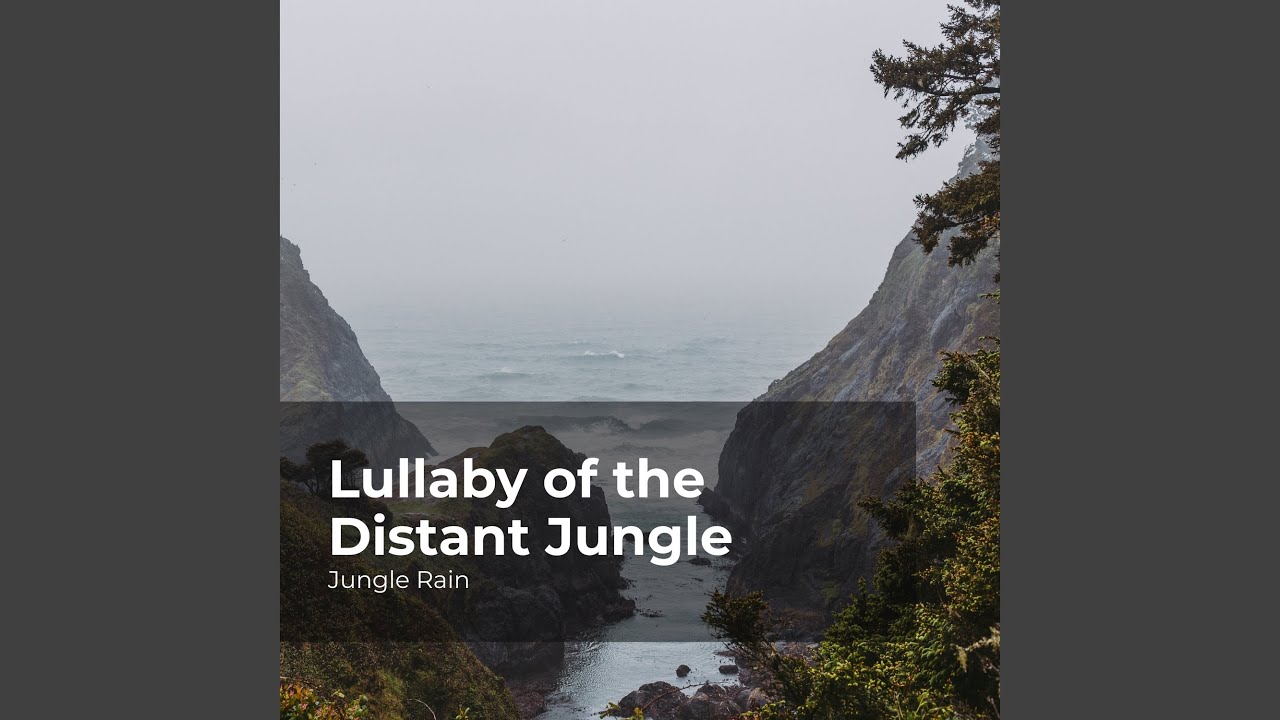 Woodland Plenty Rain - YouTube